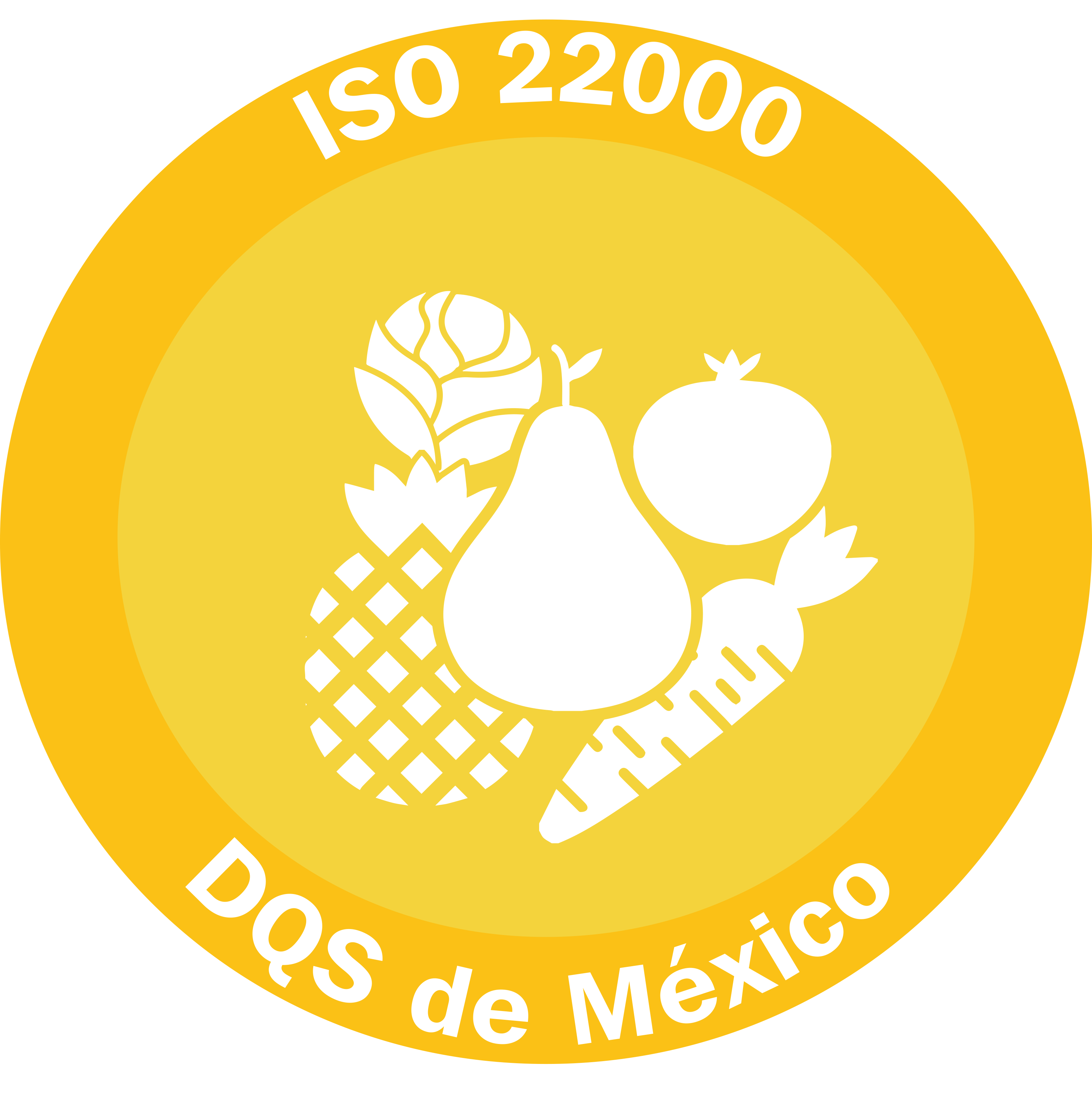 Certificaciones para la inocuidad alimentaria - DQS