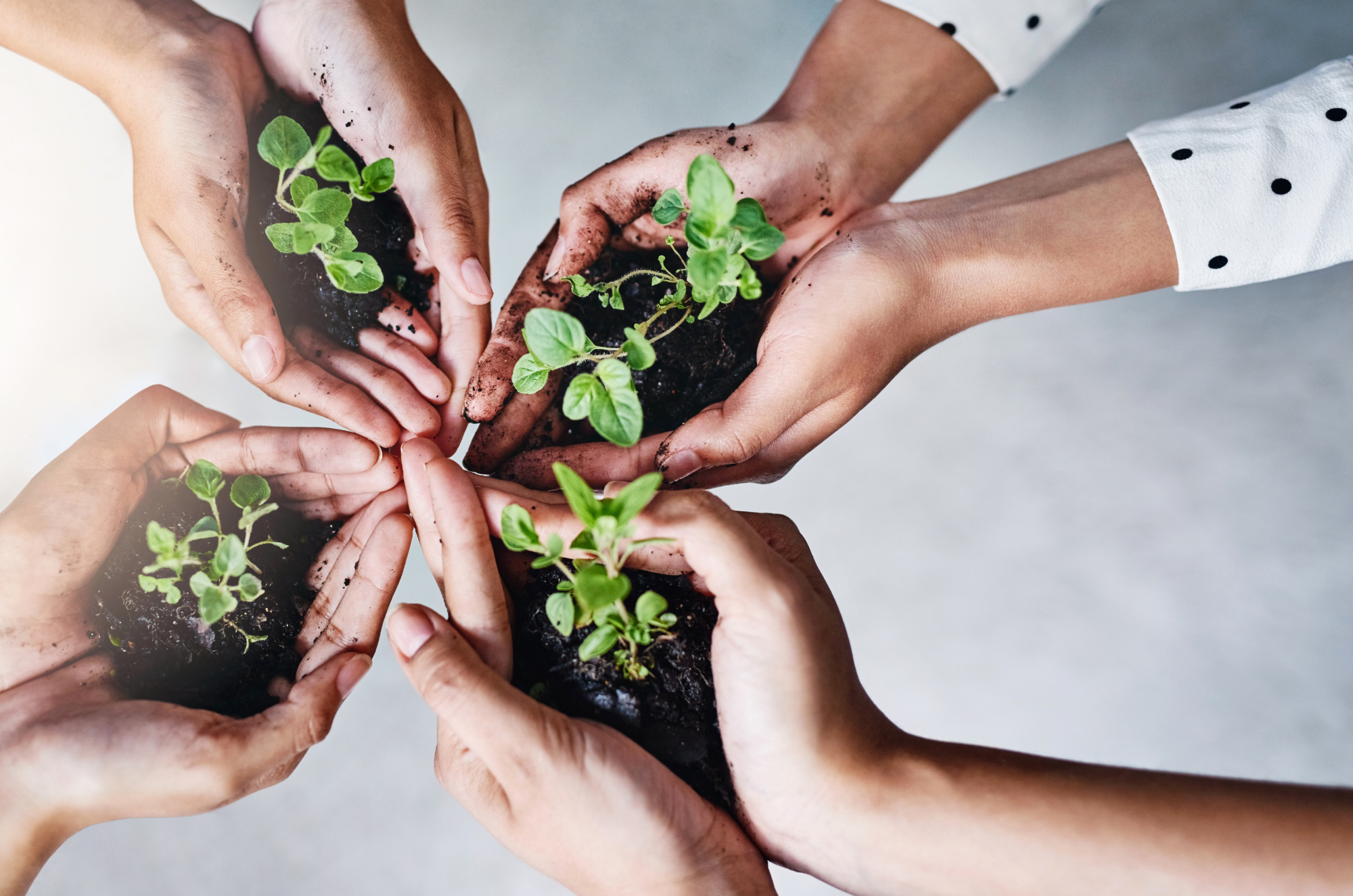 Environmental Management System – Definition & Benefits I DQS