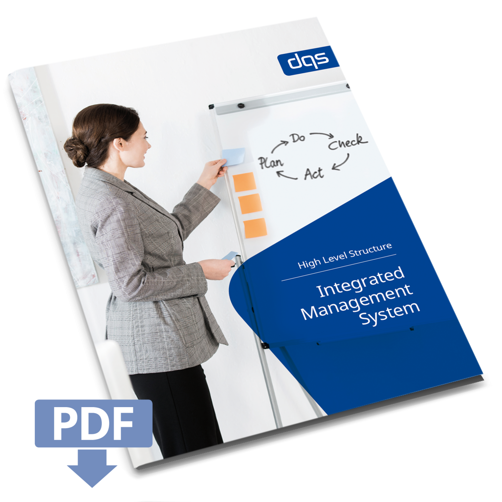 High Level Structure at a glance | Simply explained | DQS