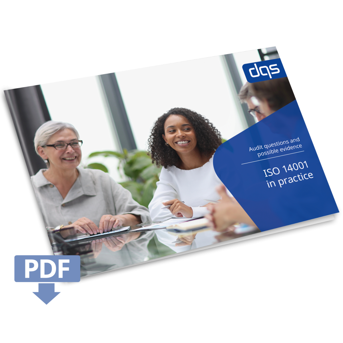 Whitepaper ISO 14001 Audit Checklist I DQS